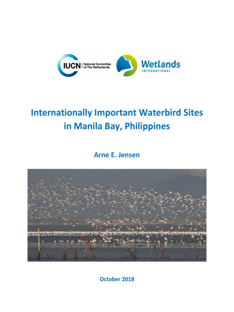2018 Wi-Iucn NL - Internationally Important Waterbird Sites in Manila ...