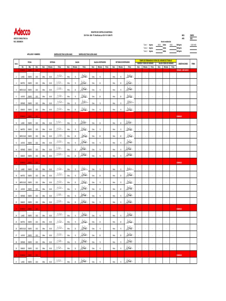 Rol de Trabajo3 | PDF