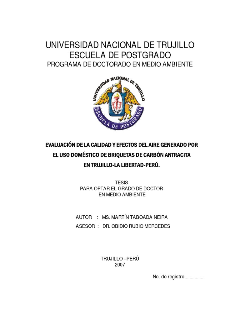 Tesis Doctorado - Martín Taboada Neira | PDF