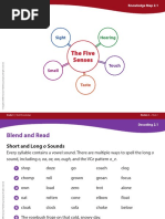 English Vocabulary Words For Class 4 | PDF