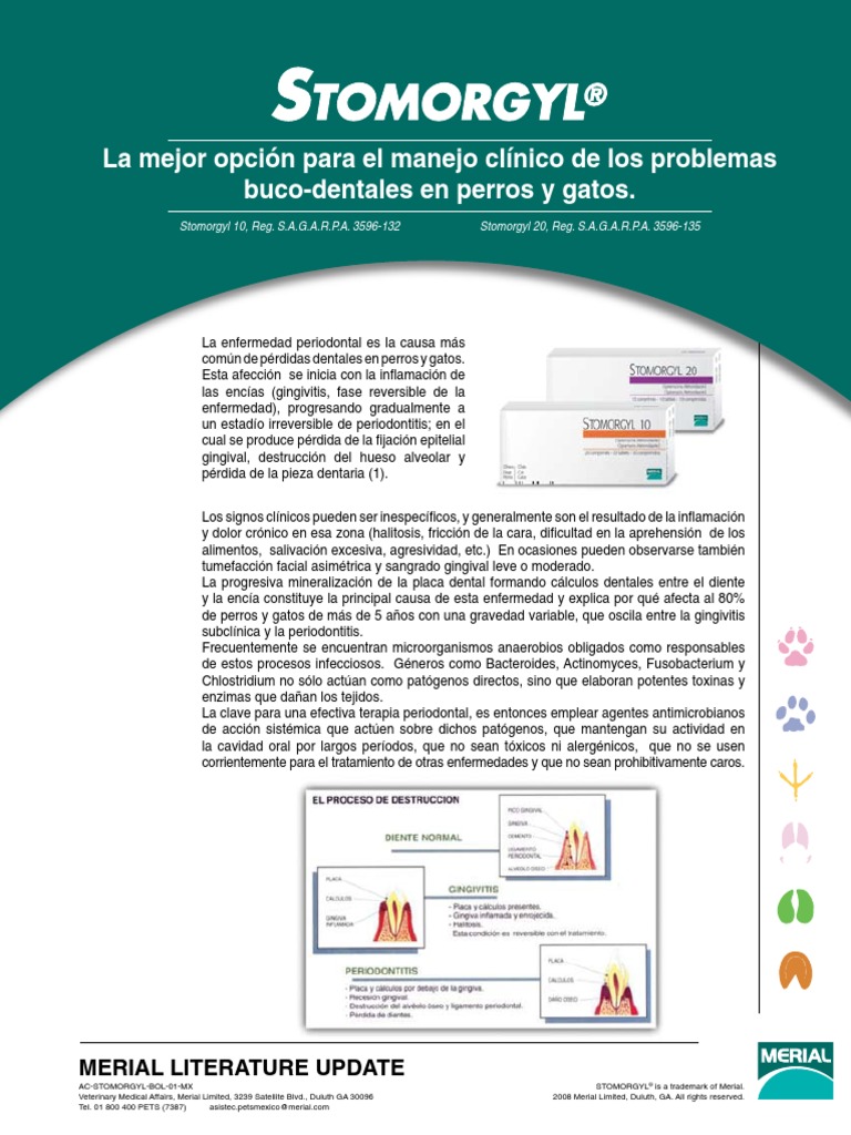 Stomorgyl | PDF | Especialidades Medicas | Medicina CLINICA