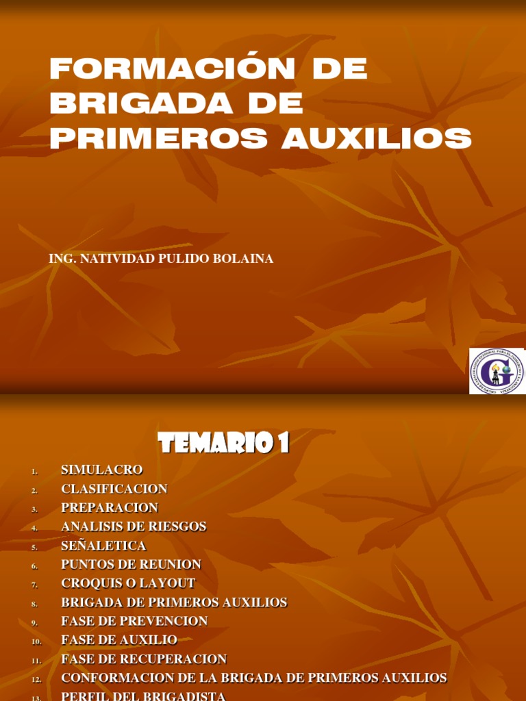 Formacion de Brigadas de Primeros Auxilios | PDF | Primeros auxilios | Herida