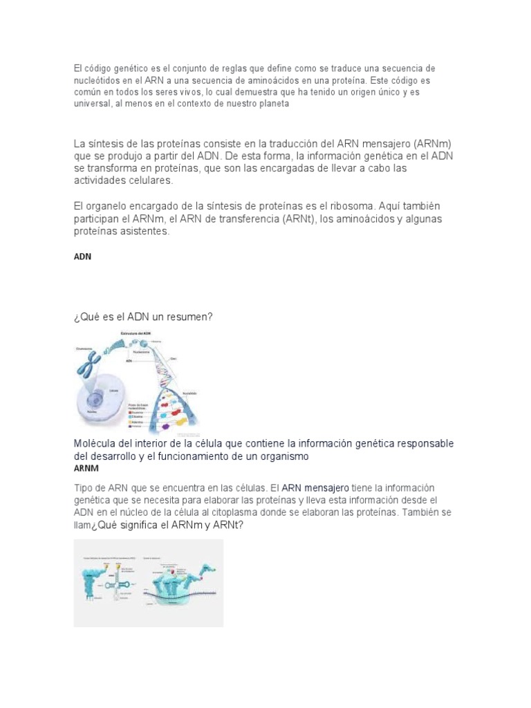 El código genético es el conjunto de reglas que define como se traduce ...