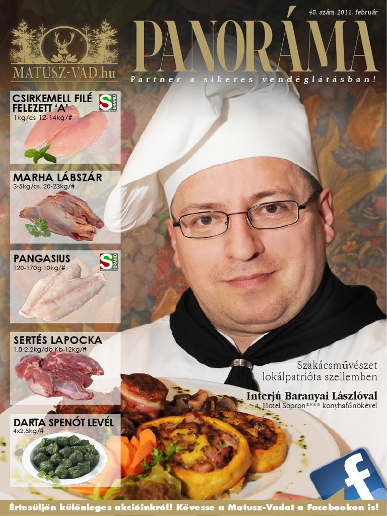 Matusz Vad - Panoráma Magazin 2011 Február | PDF
