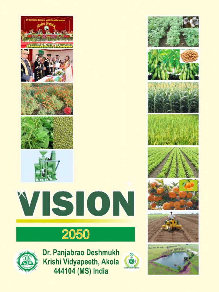 Vision 2050 | PDF