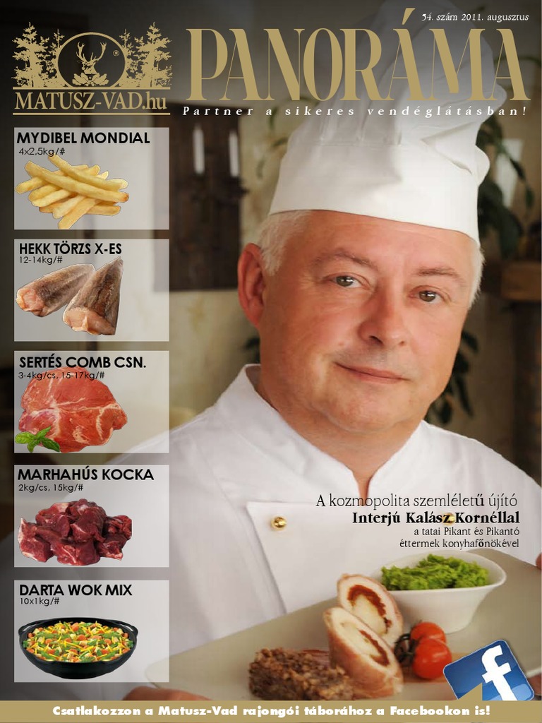Matusz Vad - Panoráma Magazin 2011 Augusztus | PDF