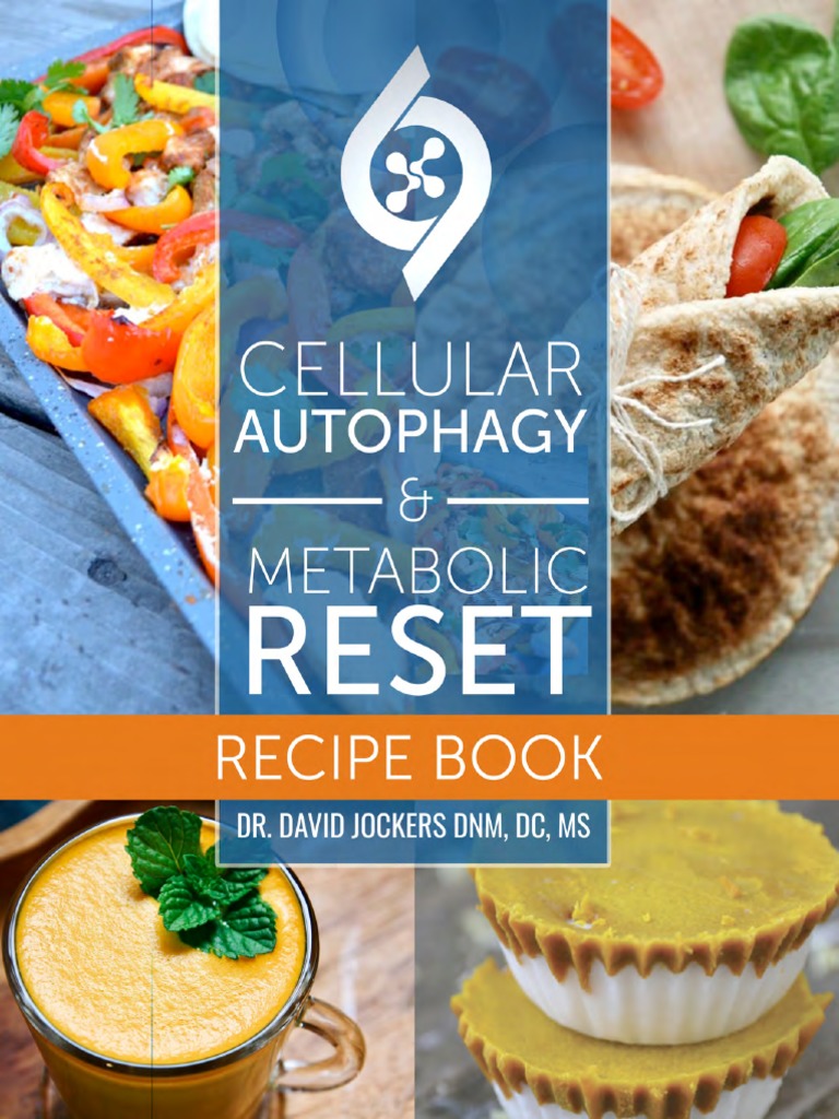 Cellular Autophagy Cookbook | PDF