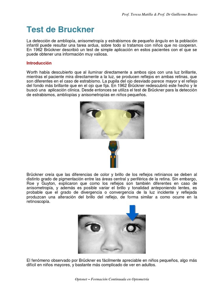 Bruckner | PDF