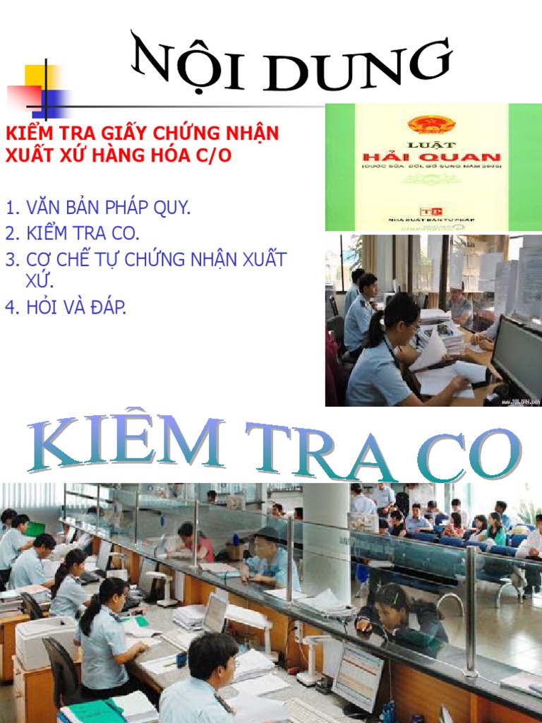 Bai Giang Kiem Tra CO | PDF