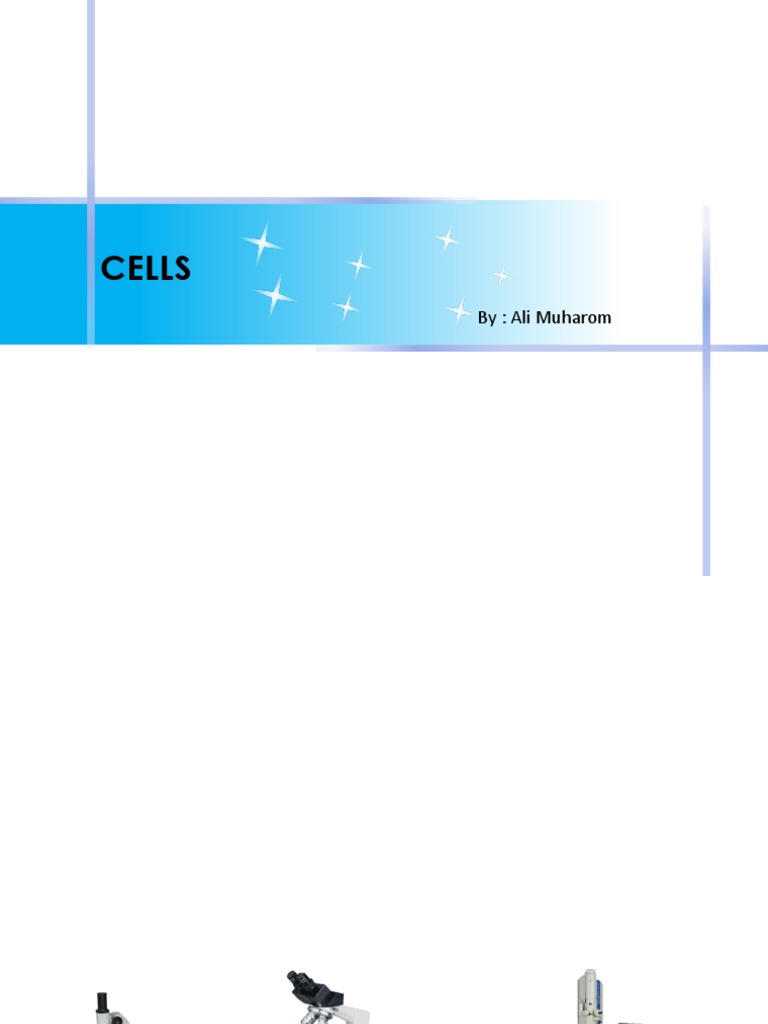 Cell Structure | PDF