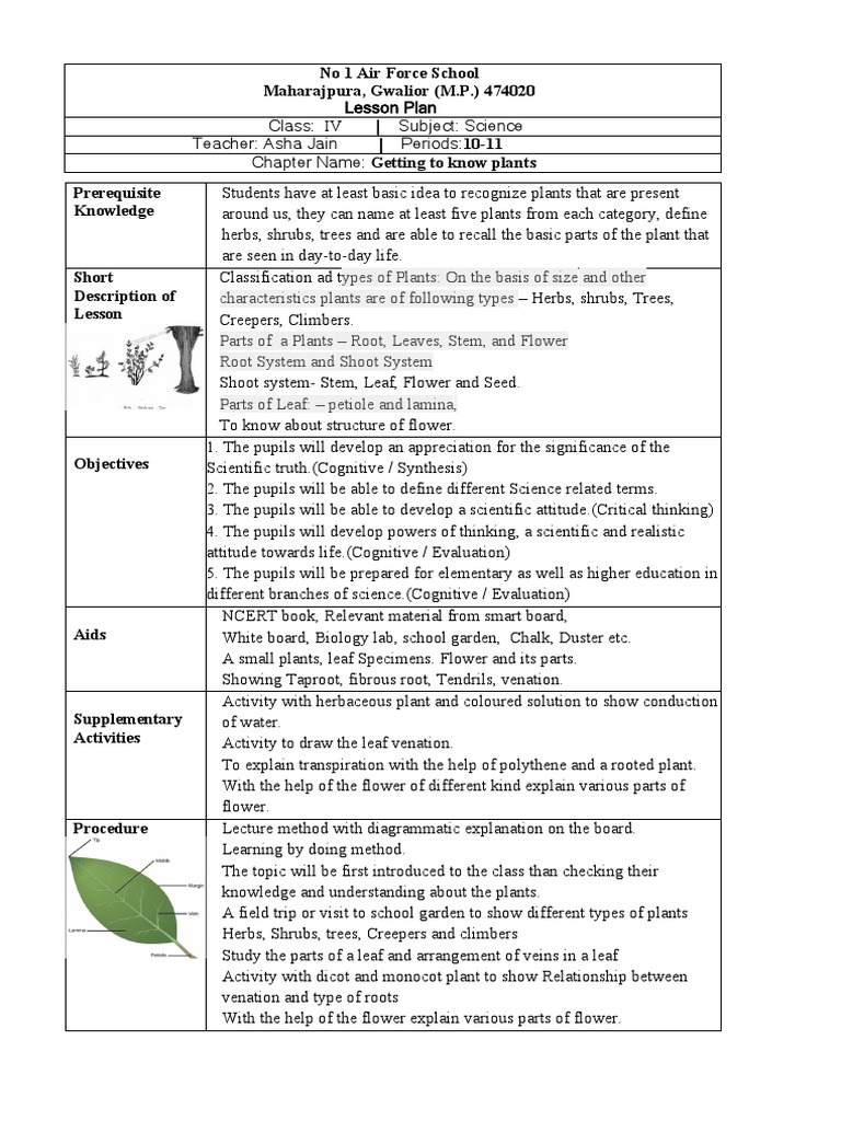 lesson plan class 6 getting to know plants | PDF
