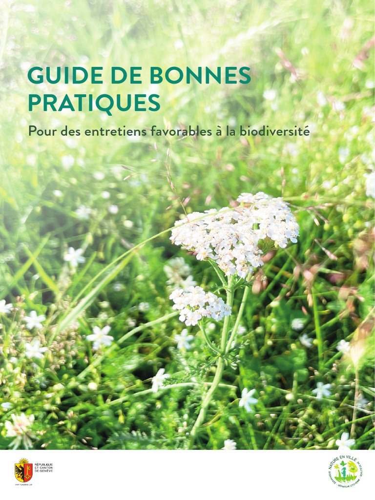 Guide Bonnes Pratiques | PDF