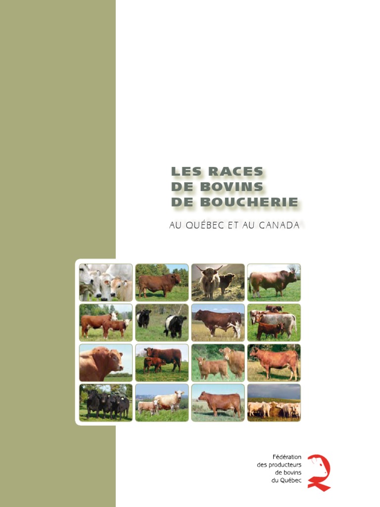 Les Races de Bovins de Boucherie 2006 | PDF