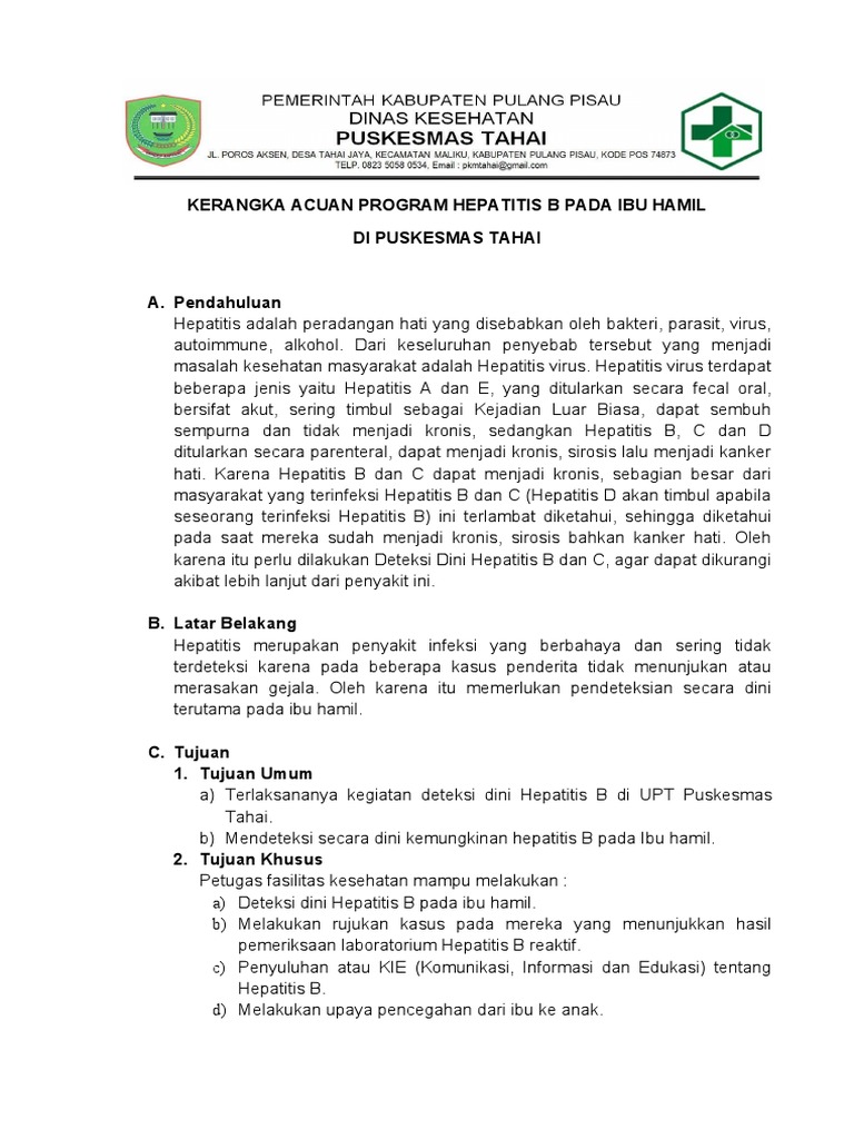 Kak Program Hepatitis | PDF