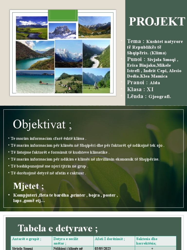 Projekt: Tema: Punoi | PDF