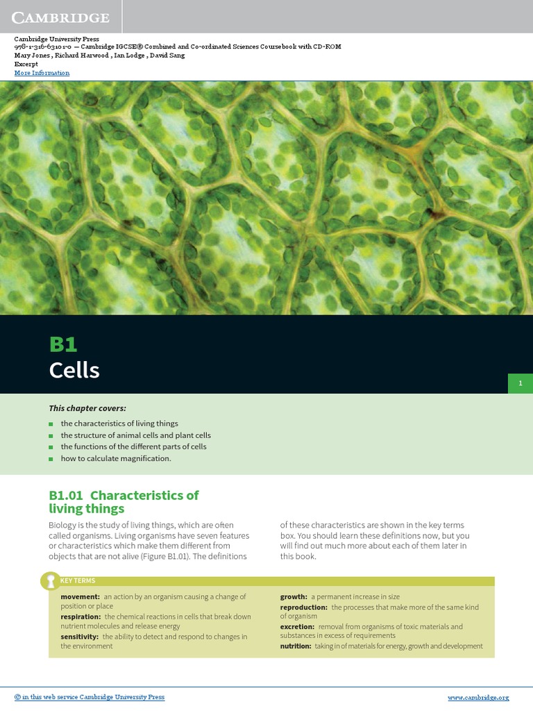 Characteristics and Structure of Cells | PDF | Cell (Biology) | Chloroplast