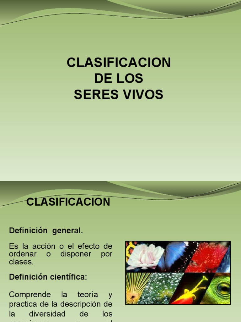 Clasificacion de Los Seres Vivos | PDF | Taxonomía (biología) | Homología (biología)
