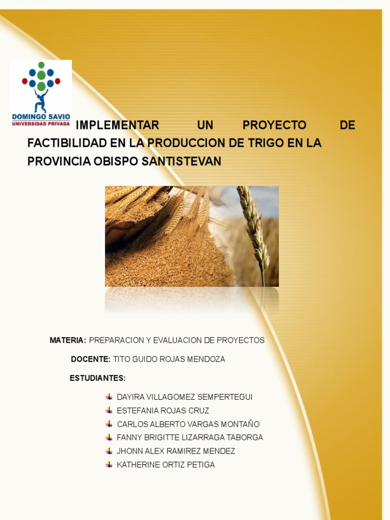 Proyecto Formativo Evaluación de Proyecto I | PDF