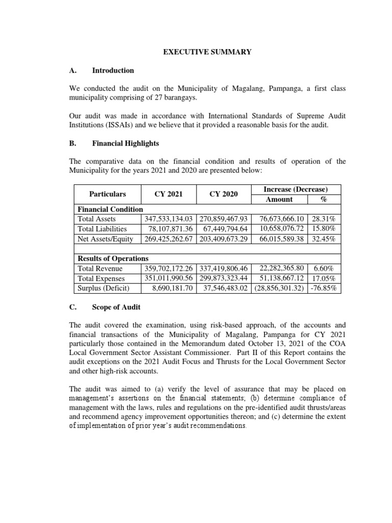 Magalang Executive Summary 2021 | PDF