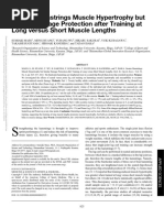 Askling L-Protocol for Hamstring Rehab | PDF | Electromyography ...