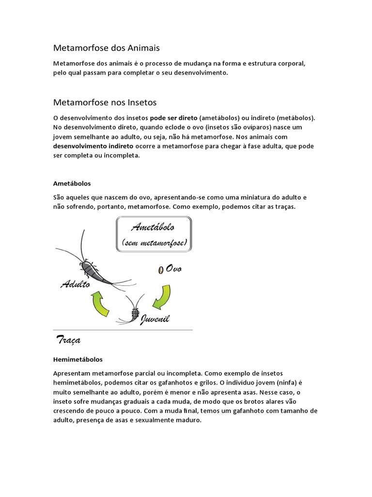 Tipos de Metamorfose nos Animais | PDF | Artes Linguísticas e ...