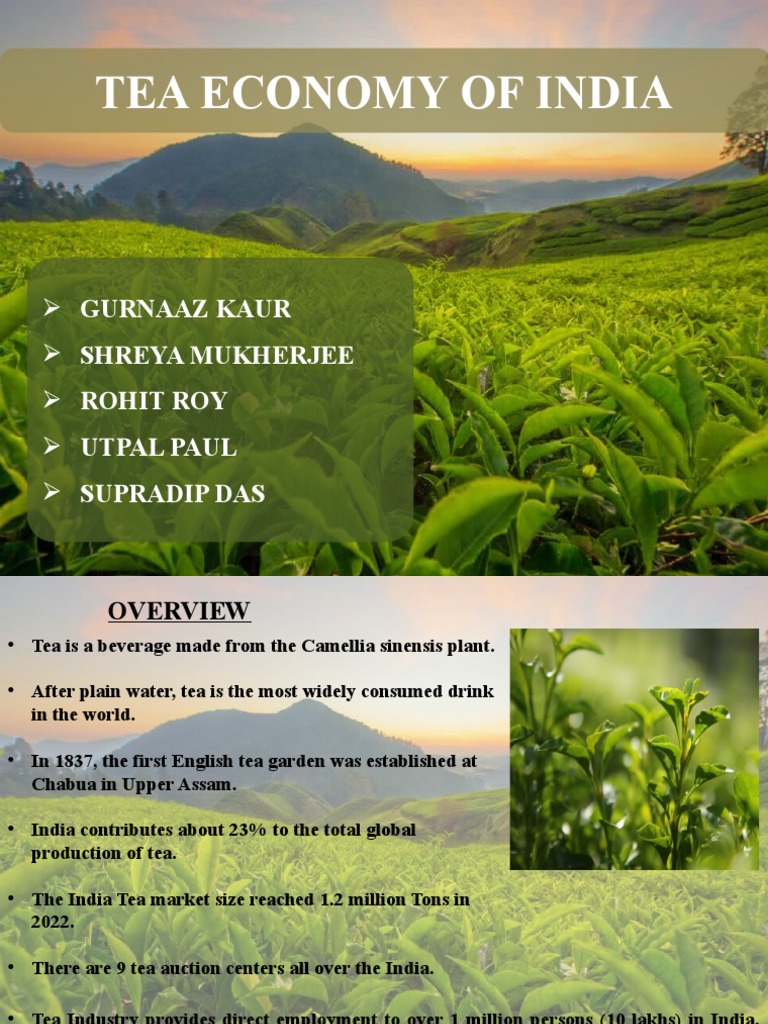 Presentation TEA ECONOMY | PDF | Tea | Labour Economics