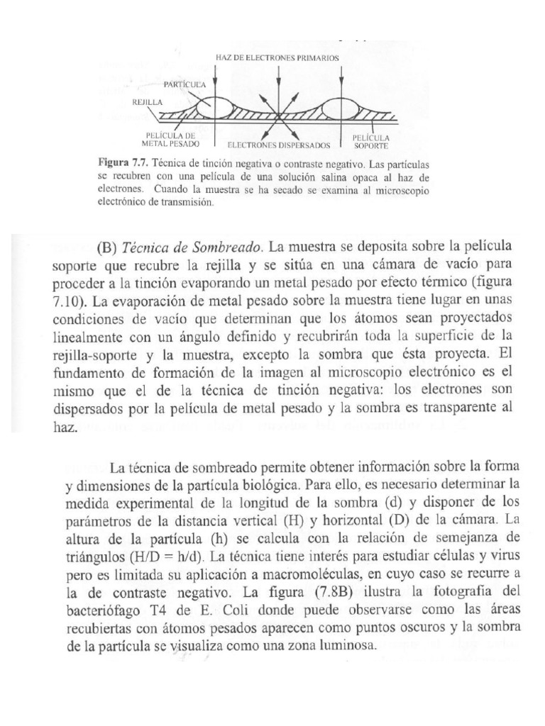 Criofractura Replica y Microtomos | PDF | Microscopio | Tecnicas ...
