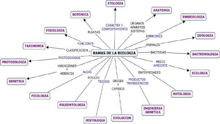 Mapa Conceptual de Las Ramas de La Biología | PDF