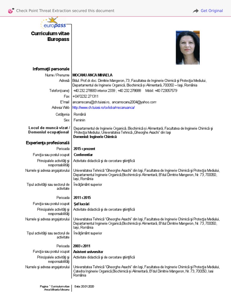 MocanuAnca Cleaned | PDF