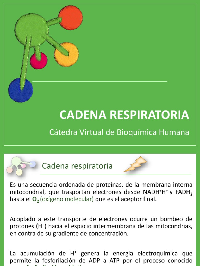 Httpscampus - Cienciasmedicas.uba - Arpluginfile.php205675mod foldercontent0PDF2420 ...
