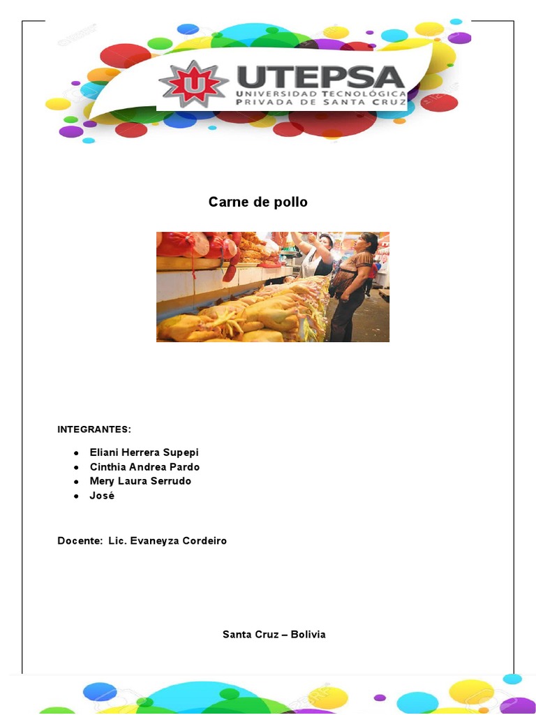 Proyecto Sobre La Carne de Pollo | PDF | Oferta (economía) | Elasticidad (economía)