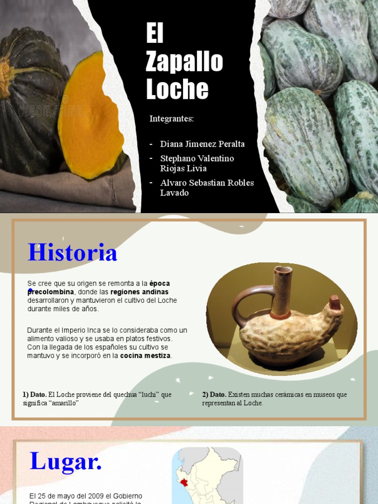 Beneficios y origen del zapallo Loche | PDF | Agricultura | Nutrición