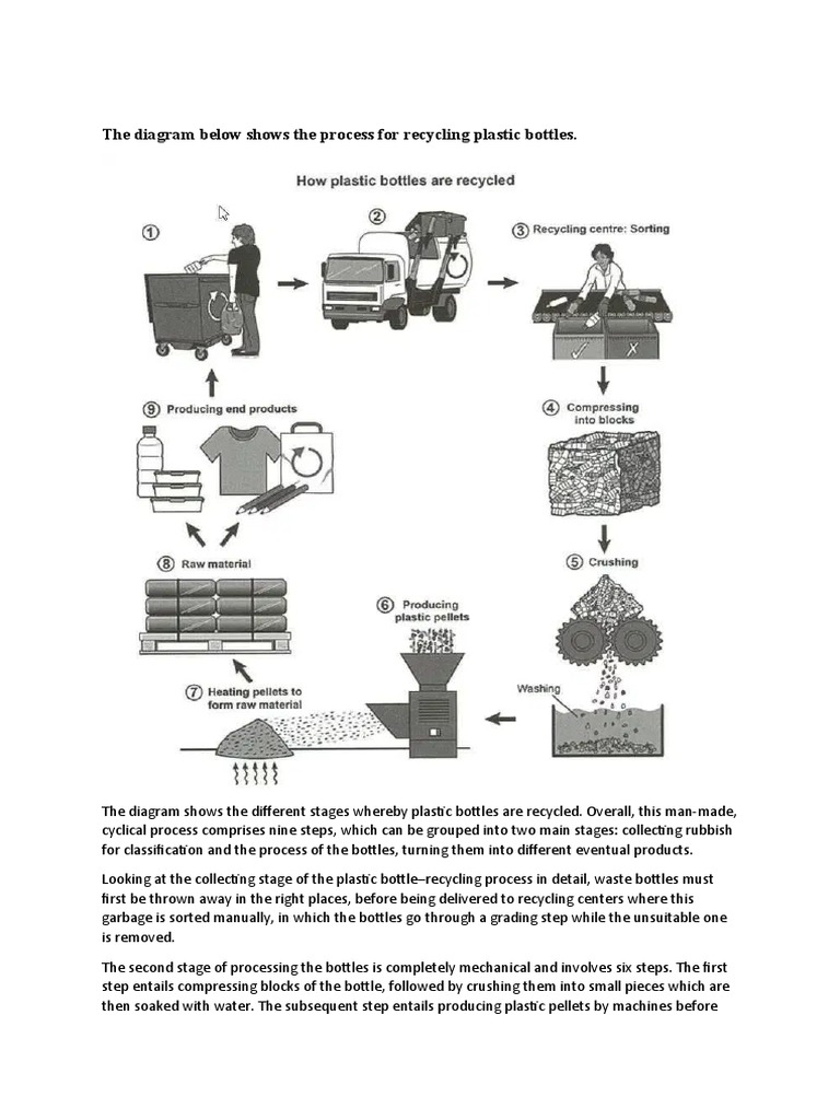Task 1 - Process | PDF