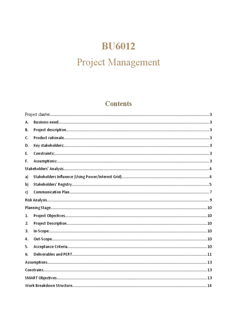 Project Management Report | PDF