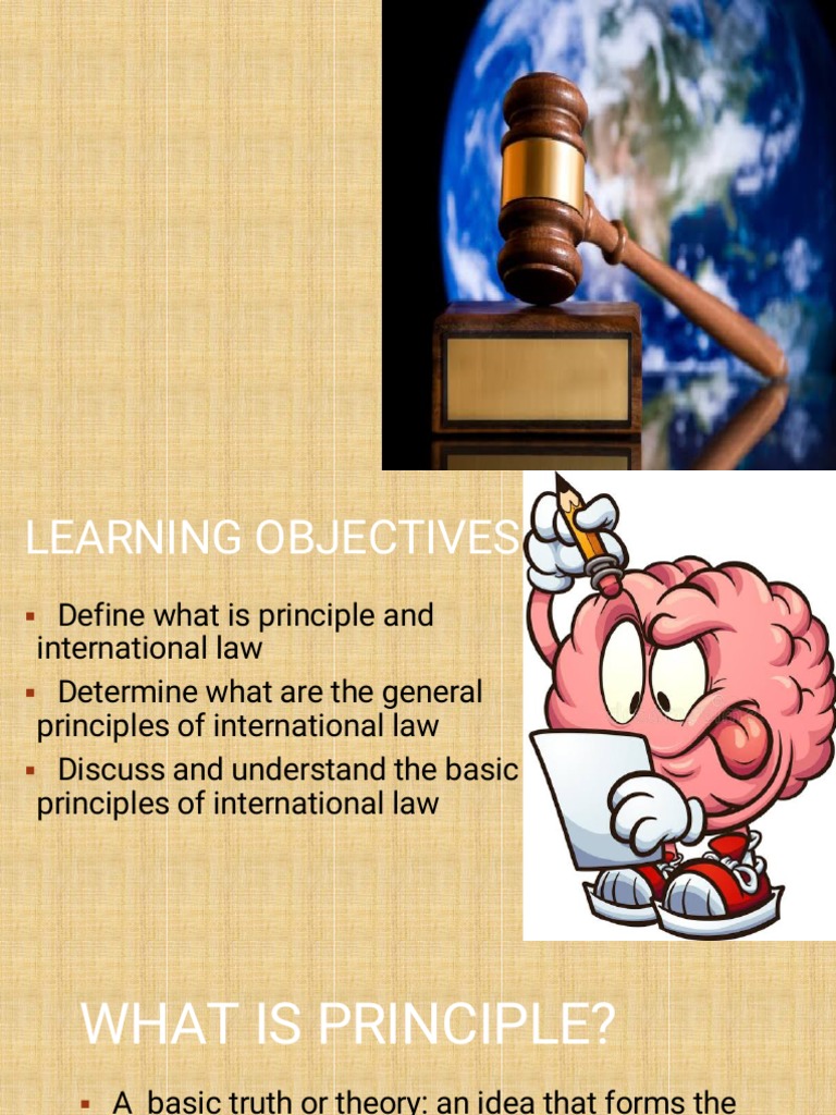 General Principles of International Law | PDF | International Law | Treaty