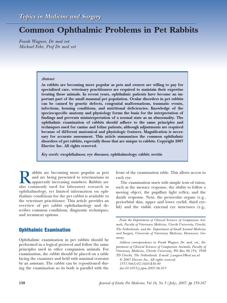 Wagner2007 Ocular Pathology Rabbit Eye | PDF