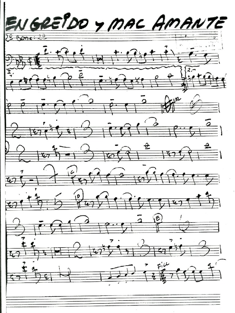 Engreido 2 Bone | PDF