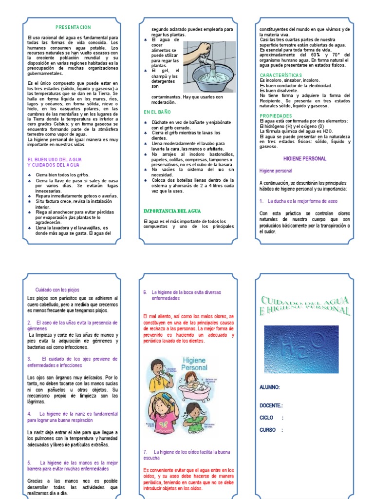 Triptico de La Higiene Personal 3 | PDF