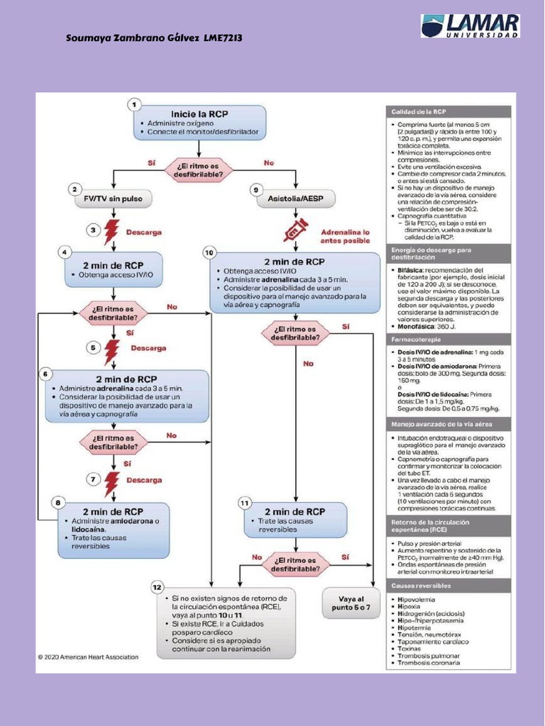 RCP Acls | PDF