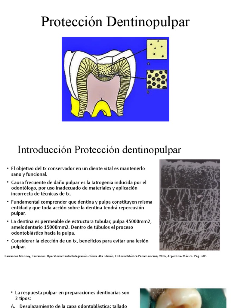proteccion dentino pulpar | PDF | Odontología | Compuesto Dental
