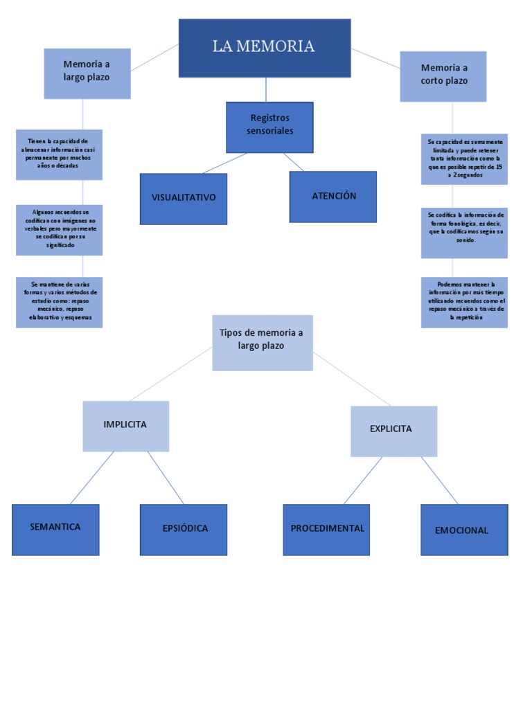 Mapa Mental De La Memoria Pdf Memoria Psicología Cognitiva