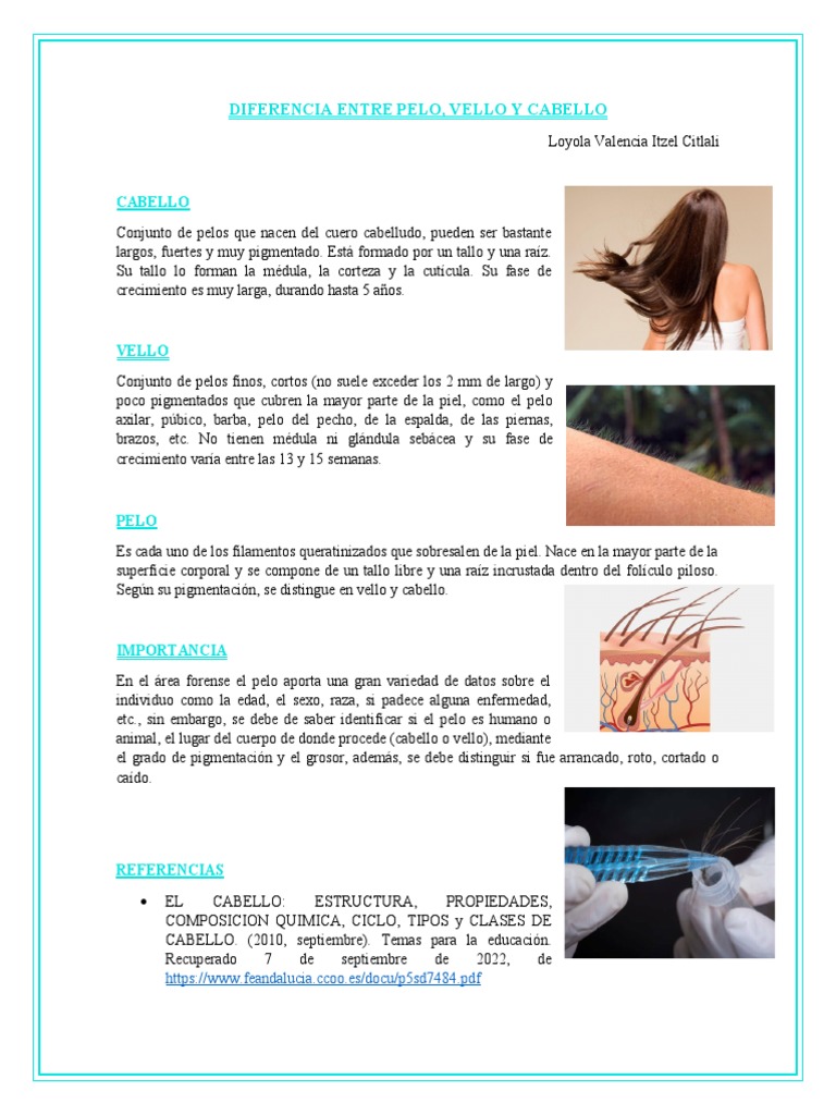 Diferencias entre pelo, vello y cabello | PDF | Ciencias sociales