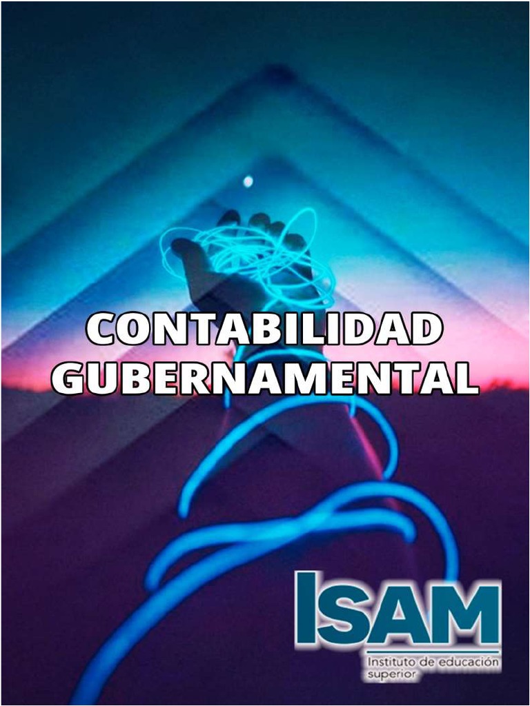 Libro de Contabilidad Gubernamental | PDF | Contabilidad | Presupuesto