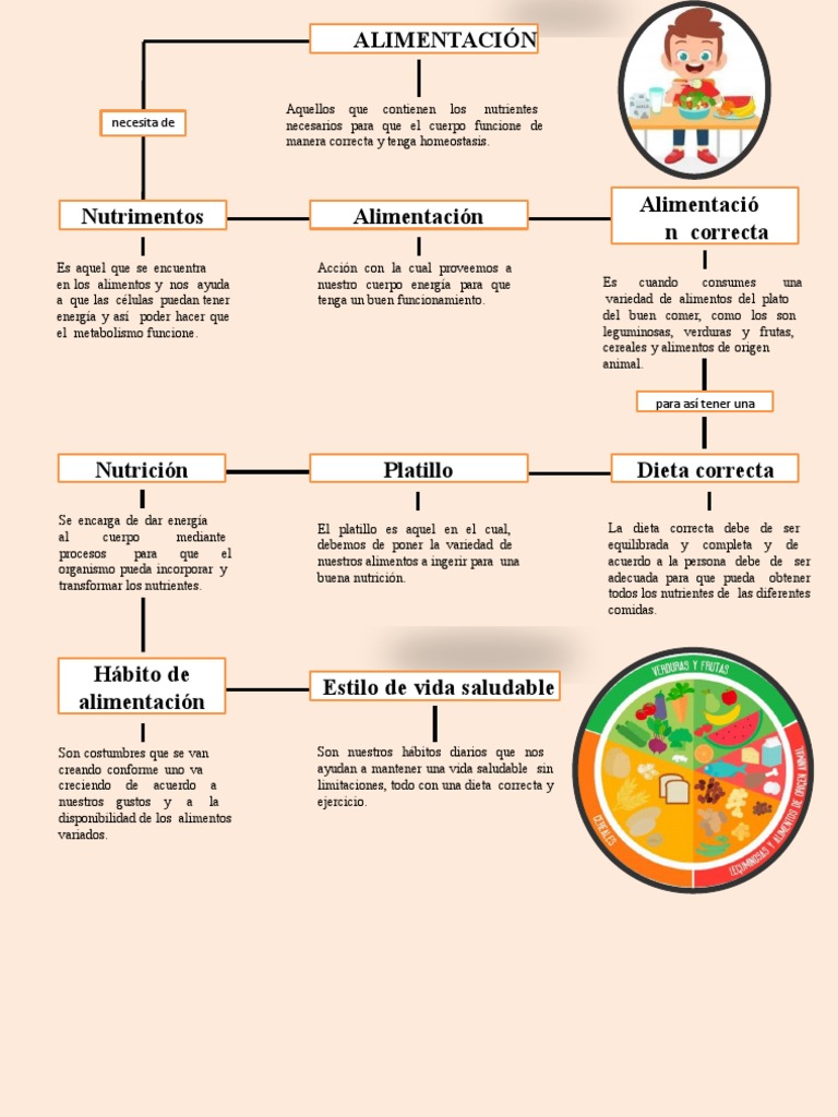 Mapa Conceptual de La Alimentacion | PDF | Nutrientes | Alimentos