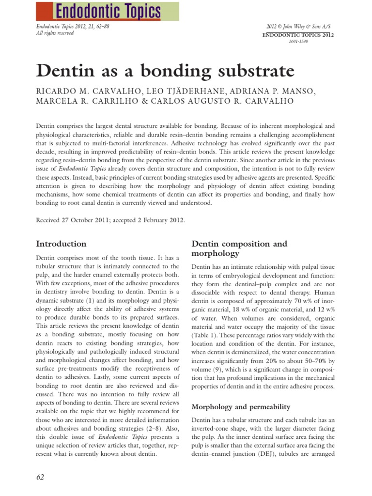 Dentin As A Bonding Substrate | PDF | Dentin | Tooth Enamel