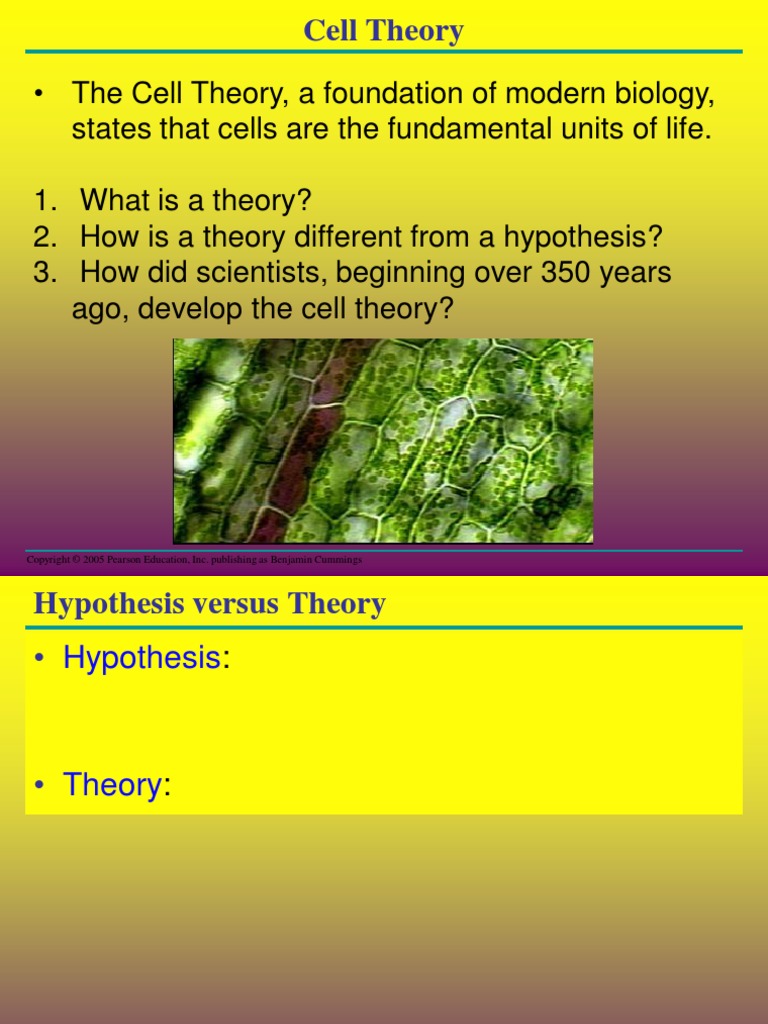 2-Cell Theory | PDF