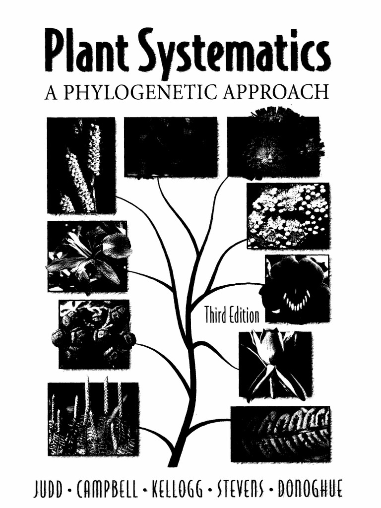 Plant Systematics - A Phylogenetic Approach | PDF
