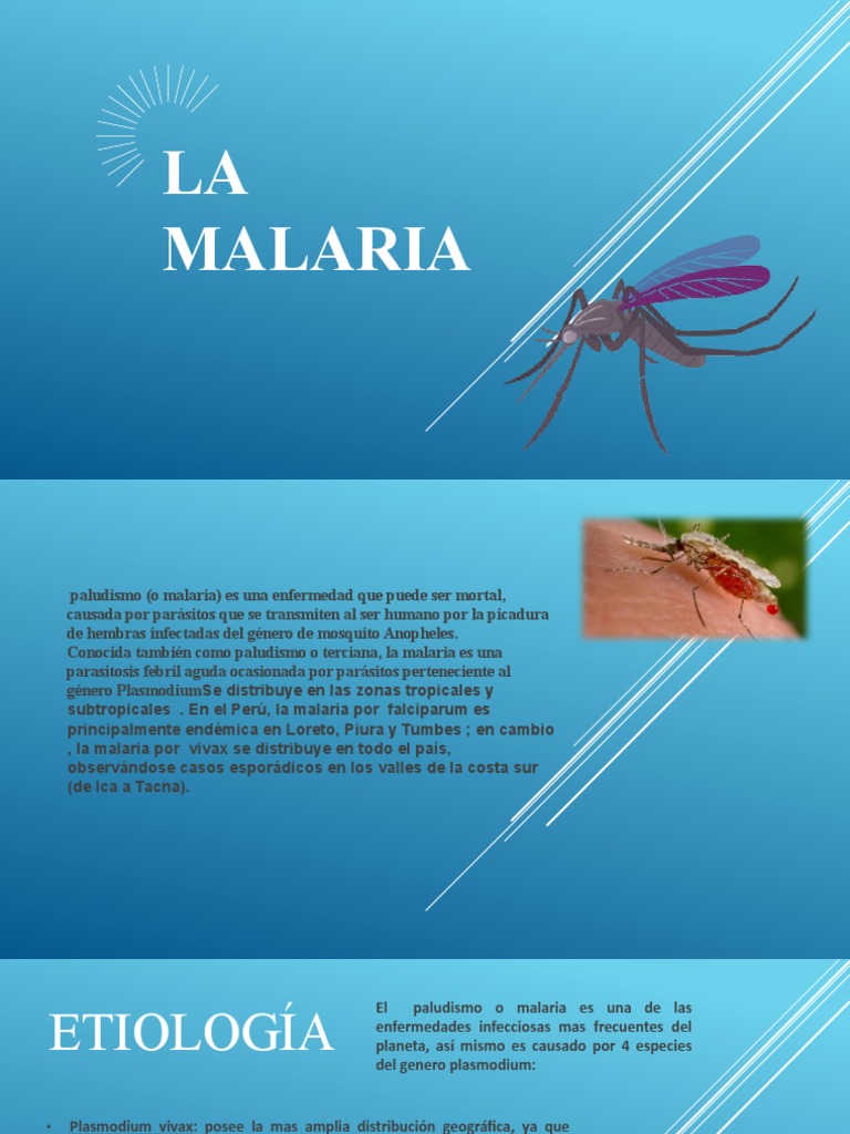 Malaria | PDF