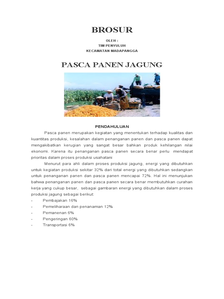 Brosur Pasca Panen Jagung | PDF