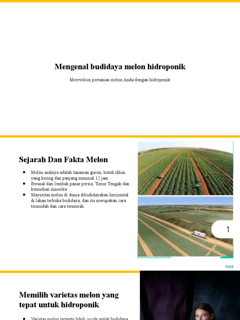 Mengenal Budidaya Melon Hidroponik | PDF